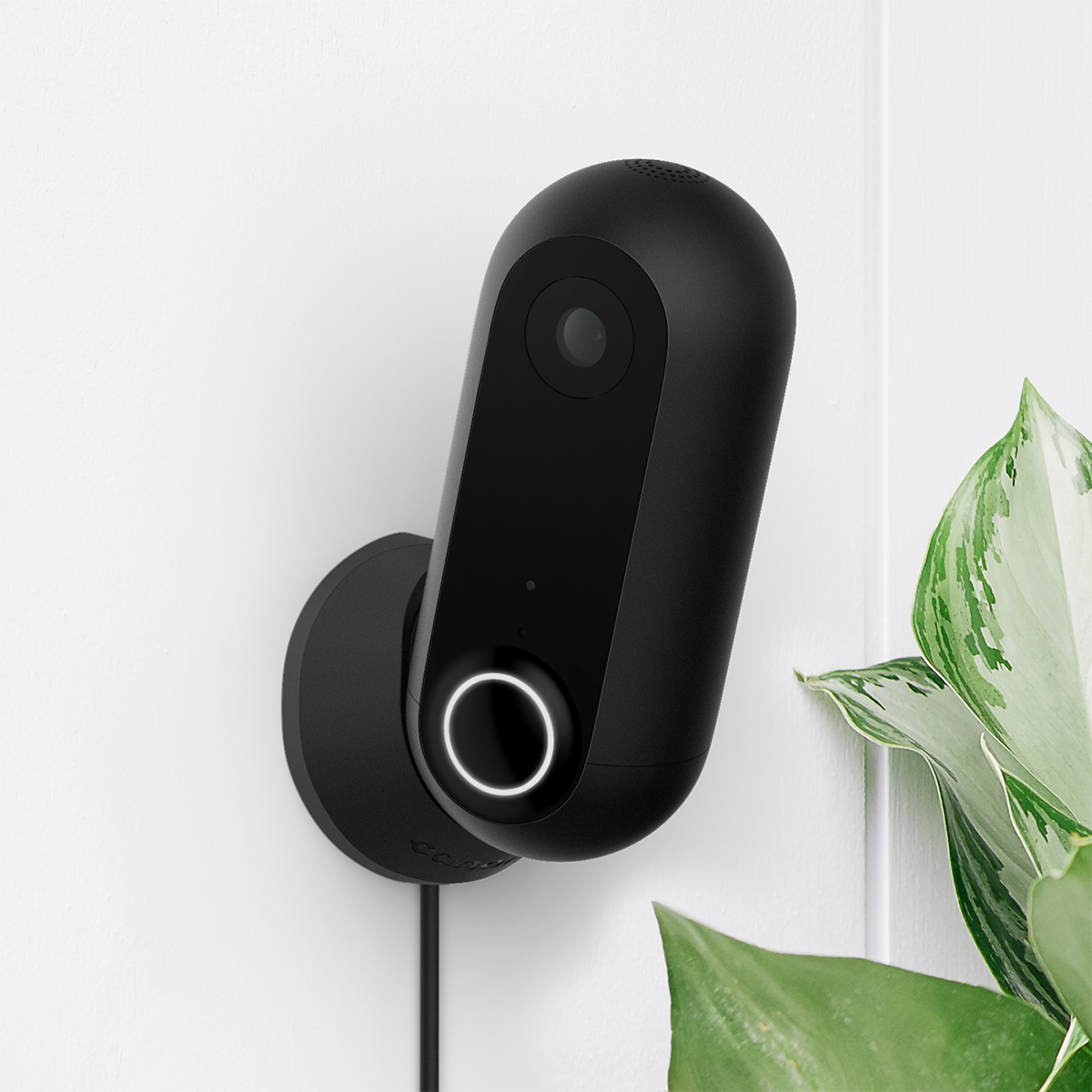 Canary - KeyShot Software Portfolio