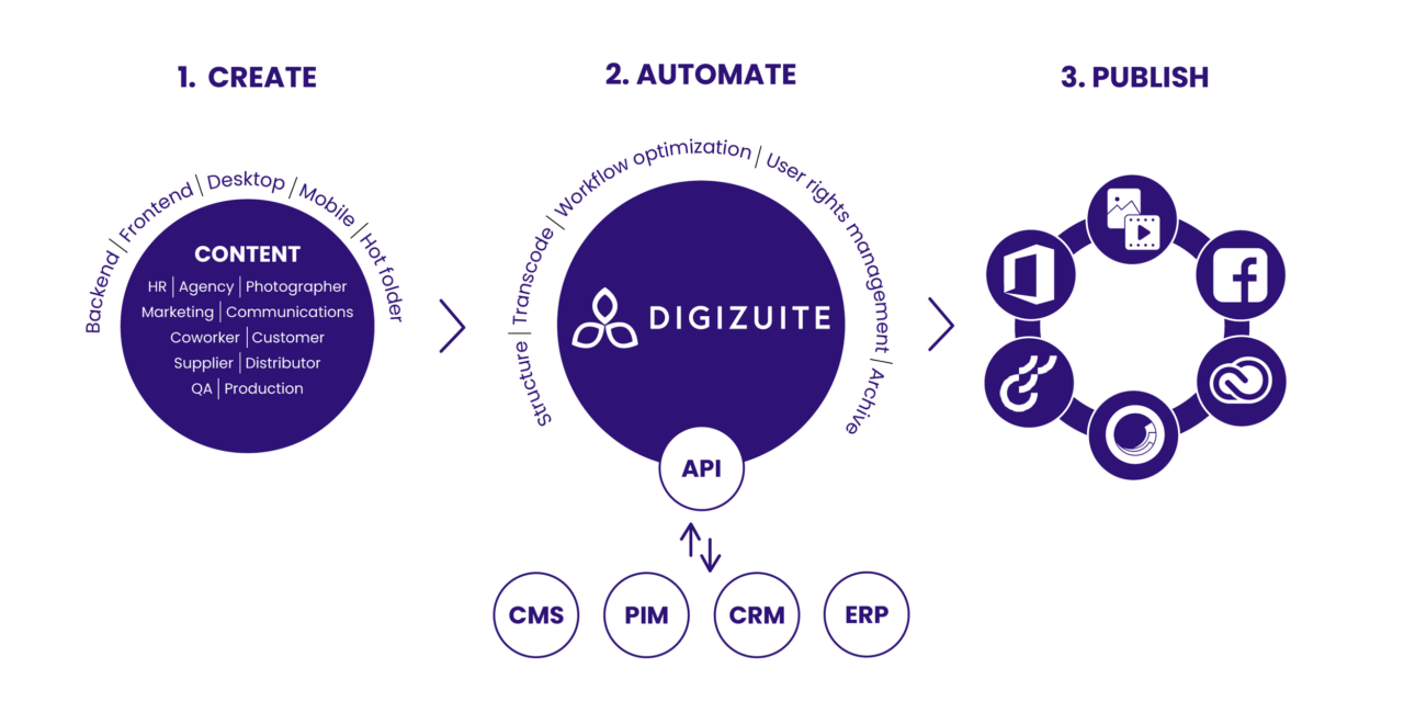What Is Enterprise Digital Asset Management and How To Improve It - KeyShot